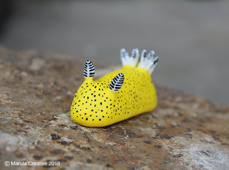 Unna the Nudibranch jorunna Parva sea Bunny | Etsy