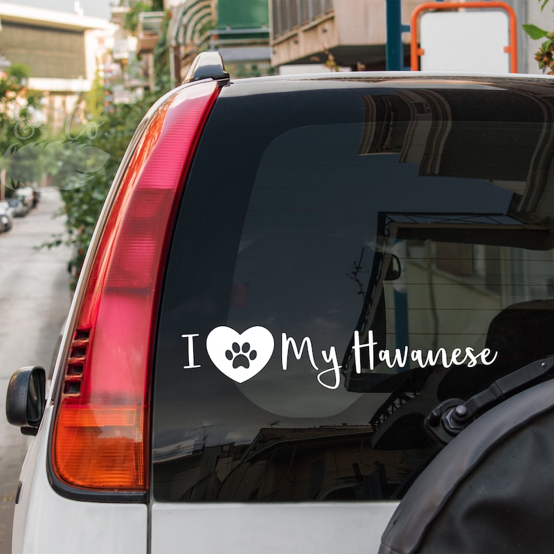 Havanese Stickers - Etsy