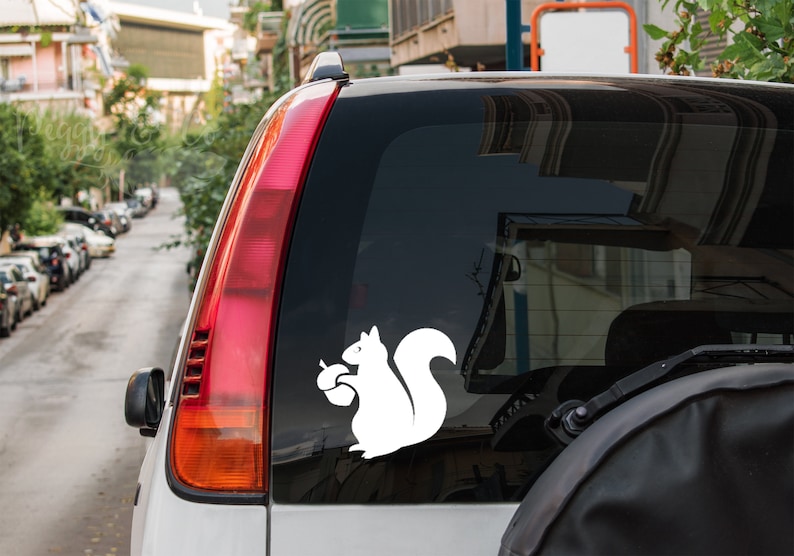 Squirrel Car Decal Car Window Decal Free Shipping Car Window - Etsy