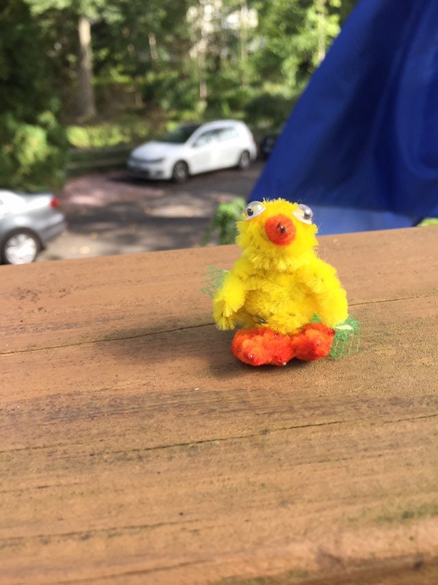 Pipe Cleaner Chick - Etsy