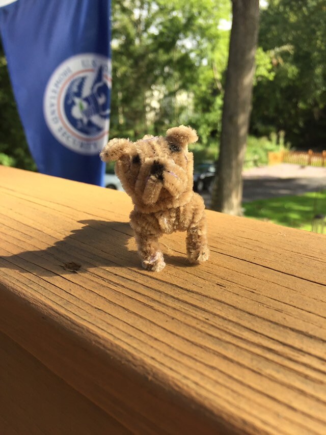 Pipe Cleaner Pug - Etsy