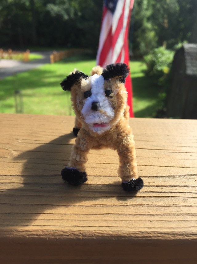 Pipe Cleaner Pug - Etsy