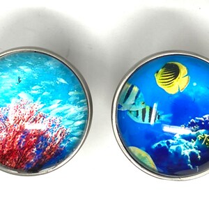 Tropical Ocean Beach Themed Drawer Pulls Cabinet Pulls - Etsy
