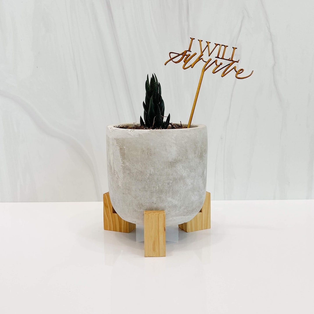 I WILL Survive Plant Marker | Grow BABY Grow Plant Stake | Plant Decor ...