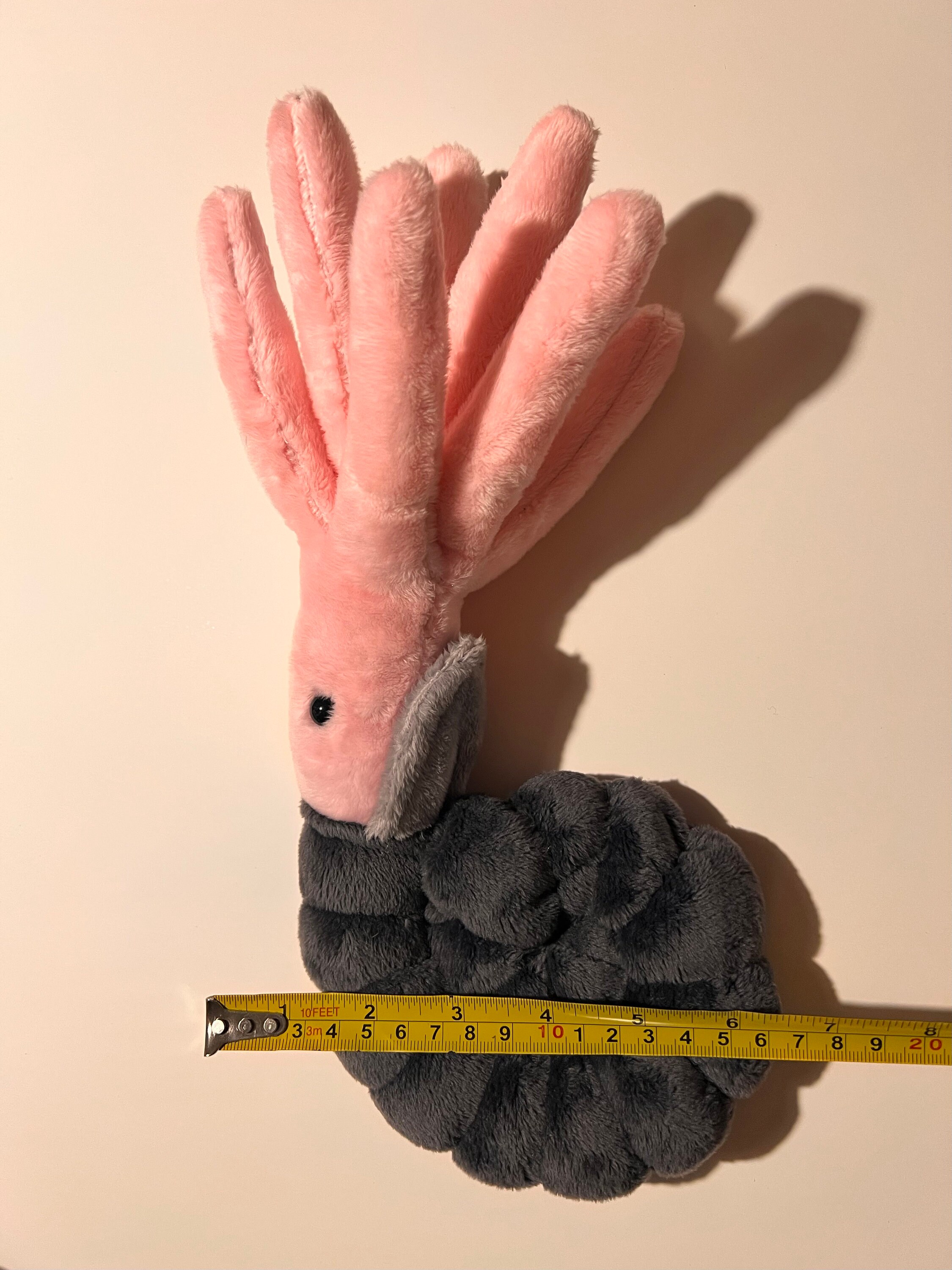 Ammonite Plushy handmade - Etsy