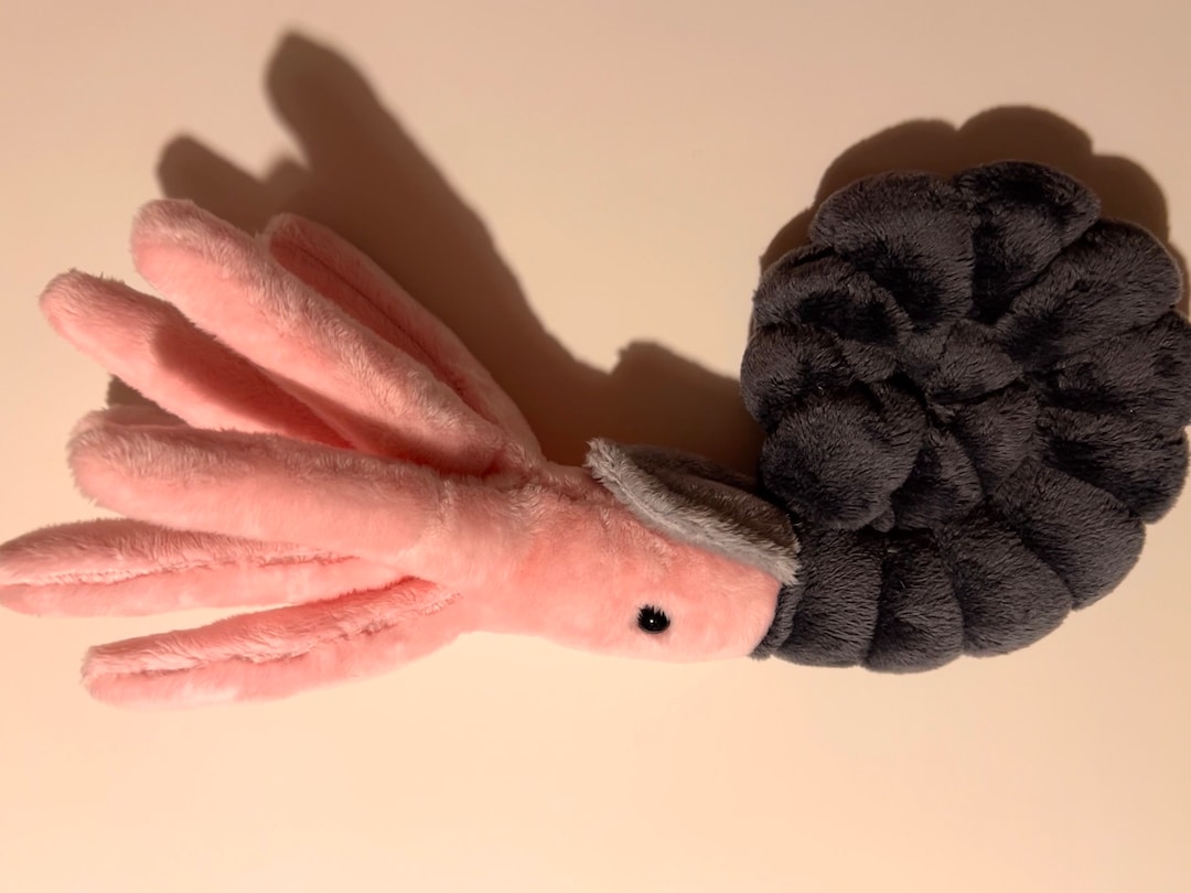 Ammonite Plushy (handmade) - Etsy