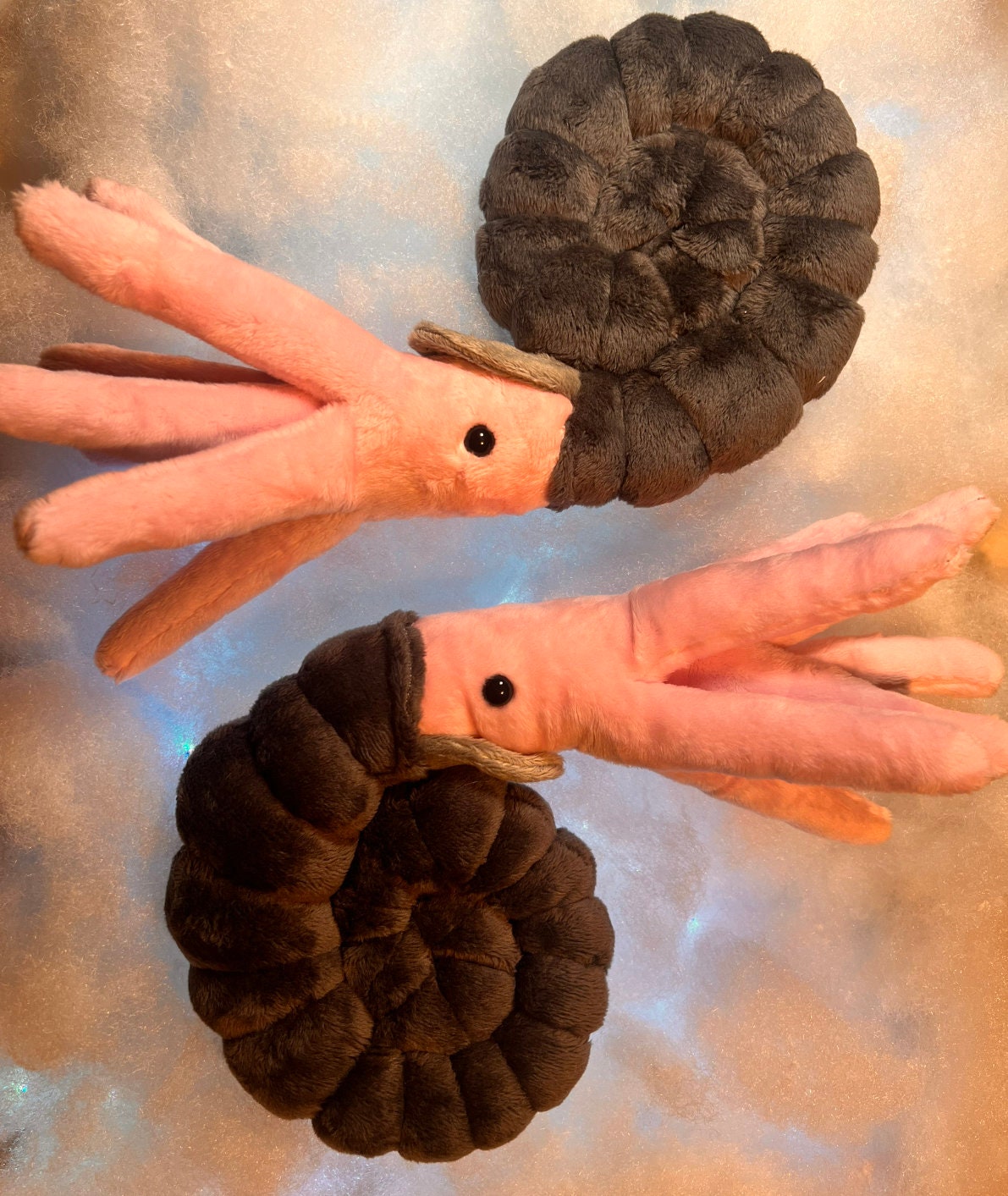 Ammonite Plushy handmade - Etsy