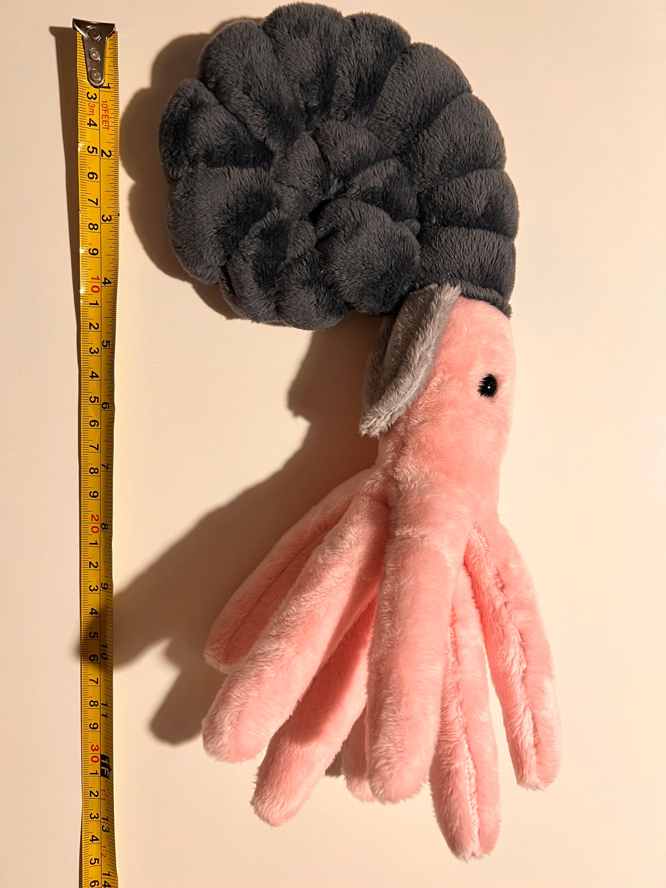 Ammonite Plushy handmade - Etsy