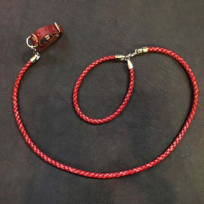 Ponytail Leads (set of 2) - Etsy