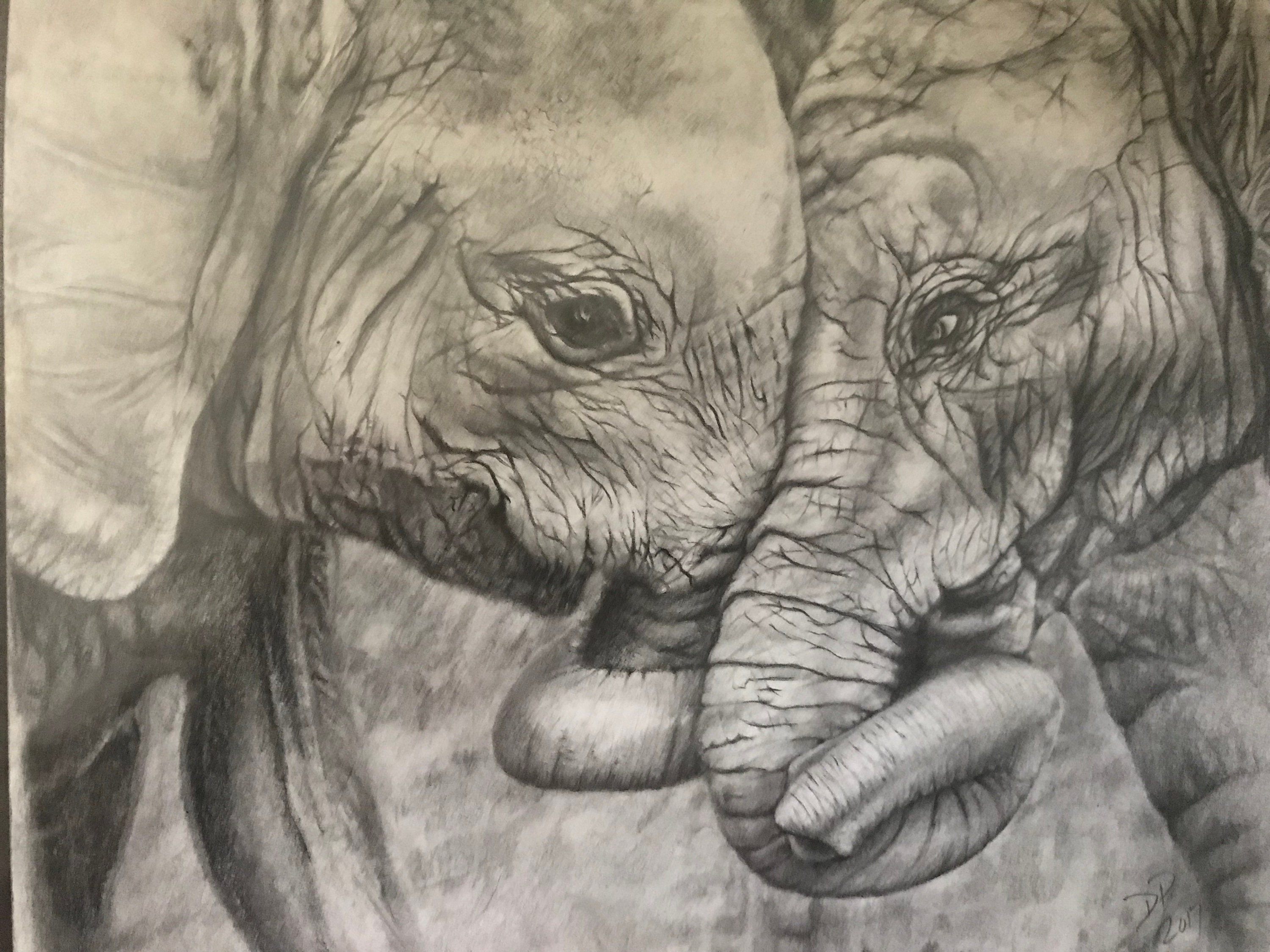 Elephant Love Drawing