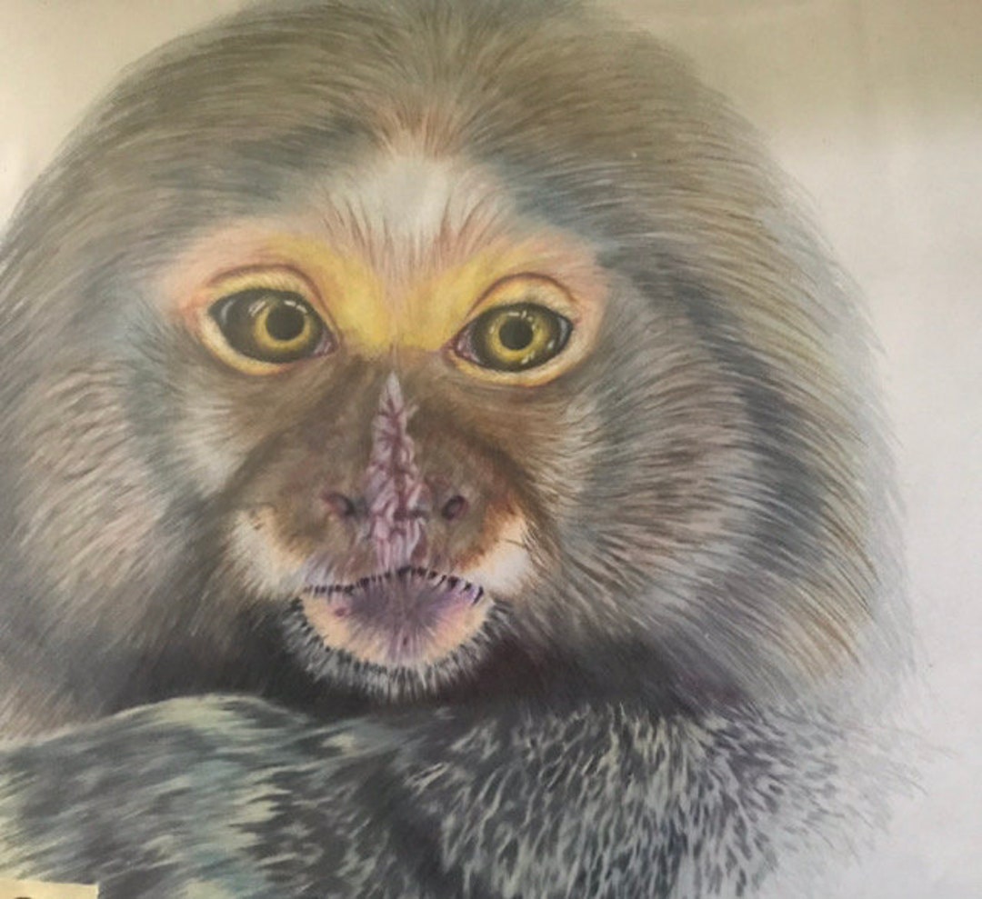 This item is unavailable - Etsy