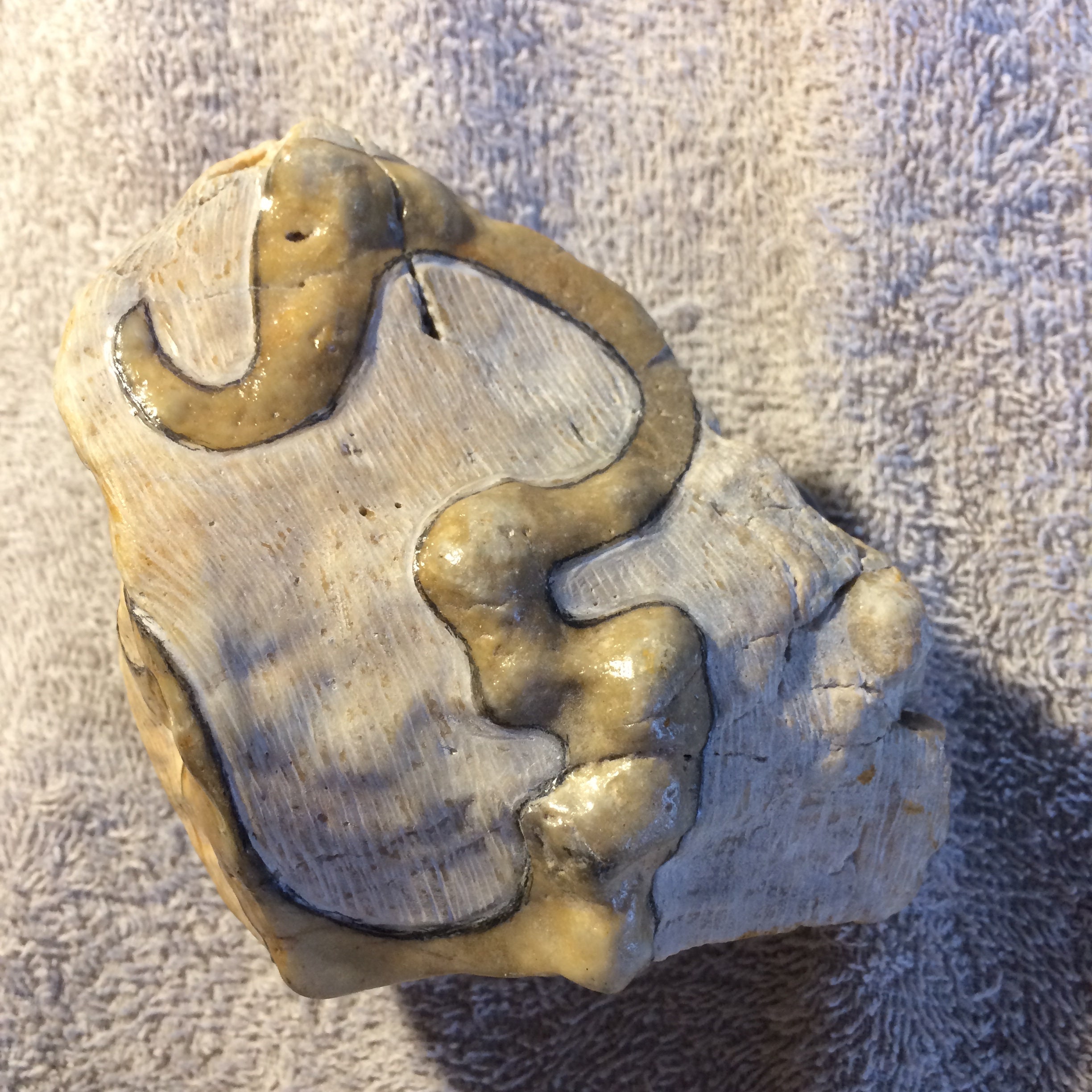 Petroglyph: the Mystic Snake Avanyu Based Upon Motives From - Etsy UK