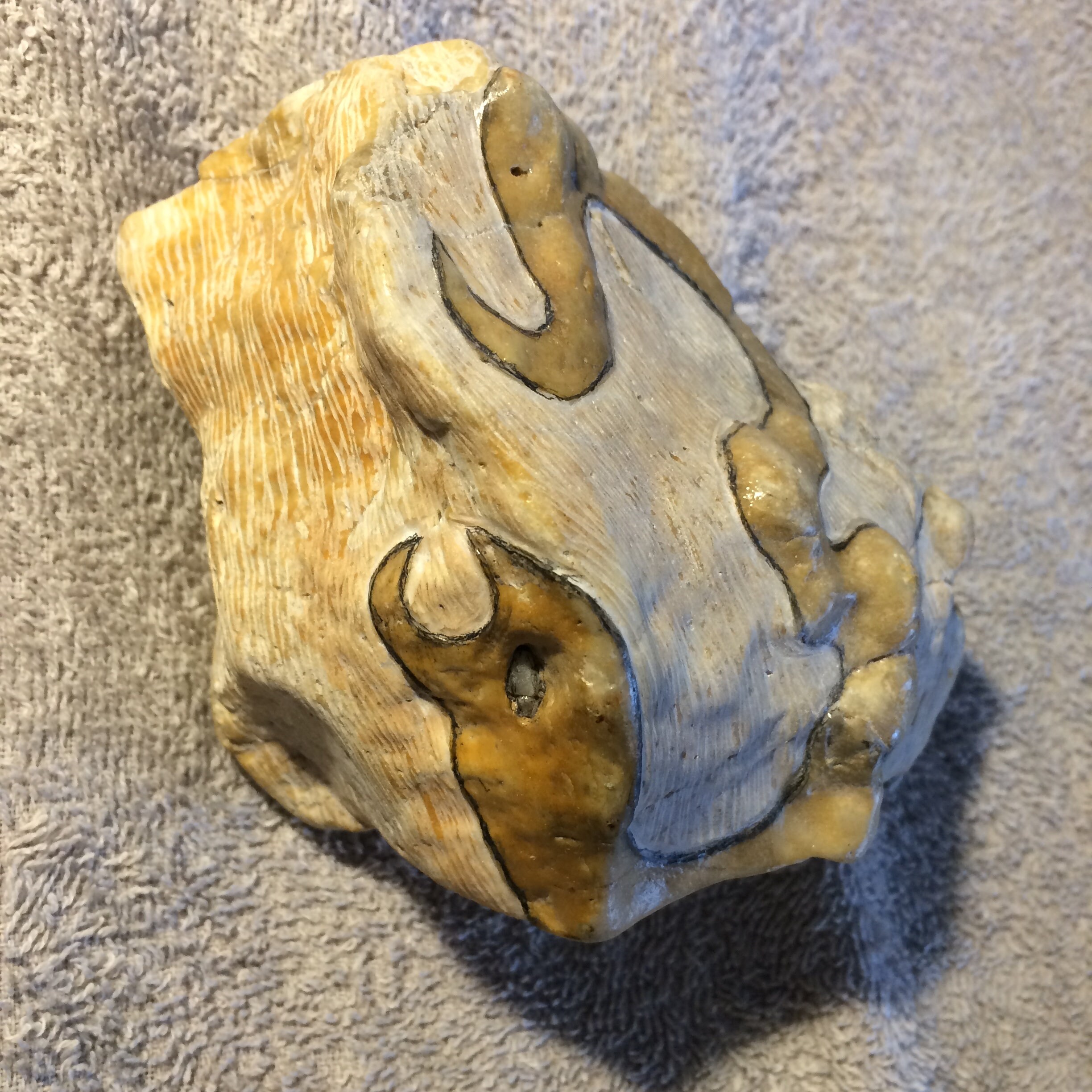 Petroglyph: the Mystic Snake Avanyu Based Upon Motives From - Etsy UK