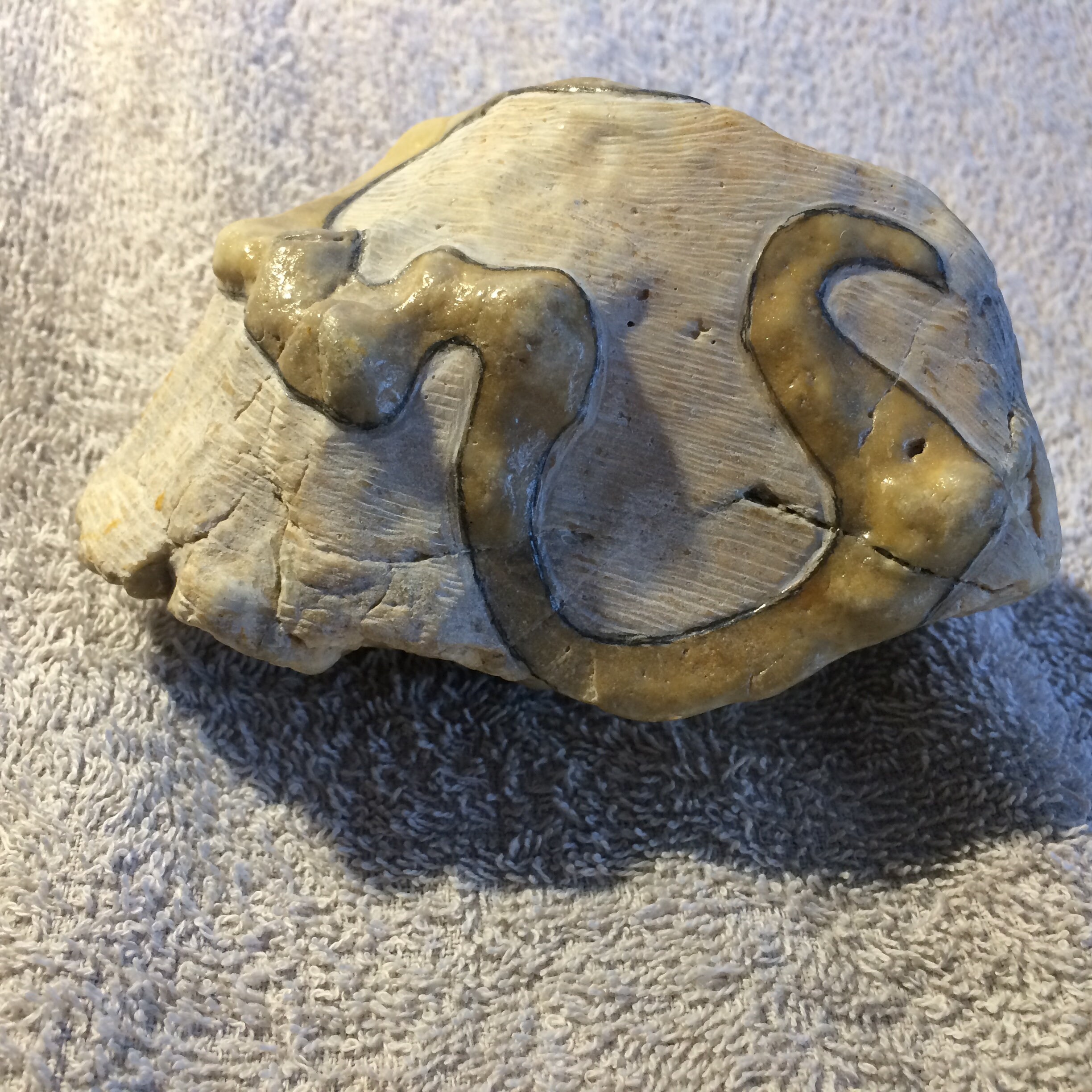 Petroglyph: the Mystic Snake Avanyu Based Upon Motives From - Etsy UK