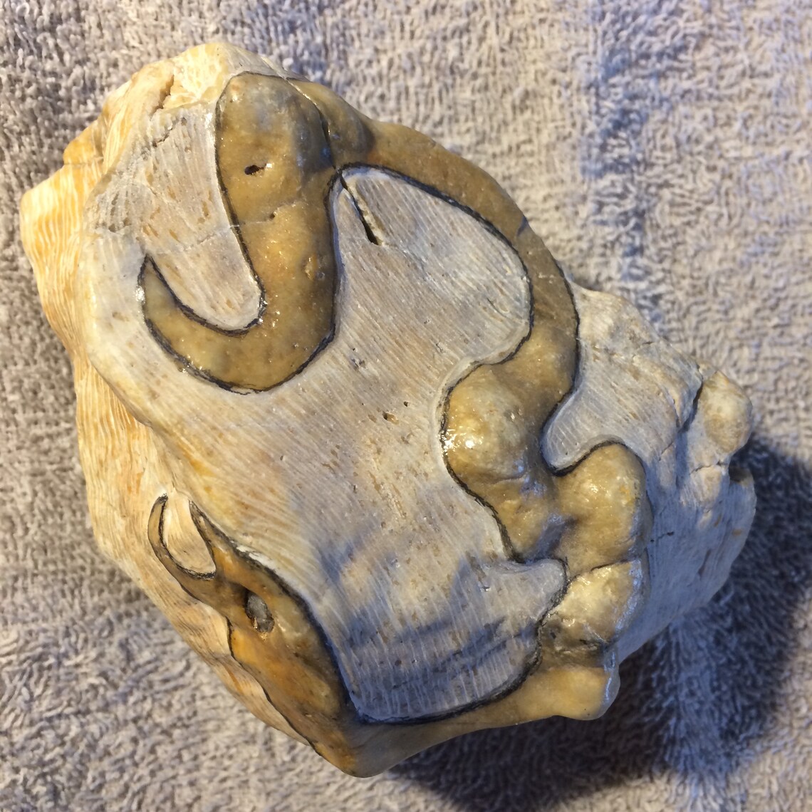 Petroglyph: the Mystic Snake Avanyu Based Upon Motives From - Etsy UK