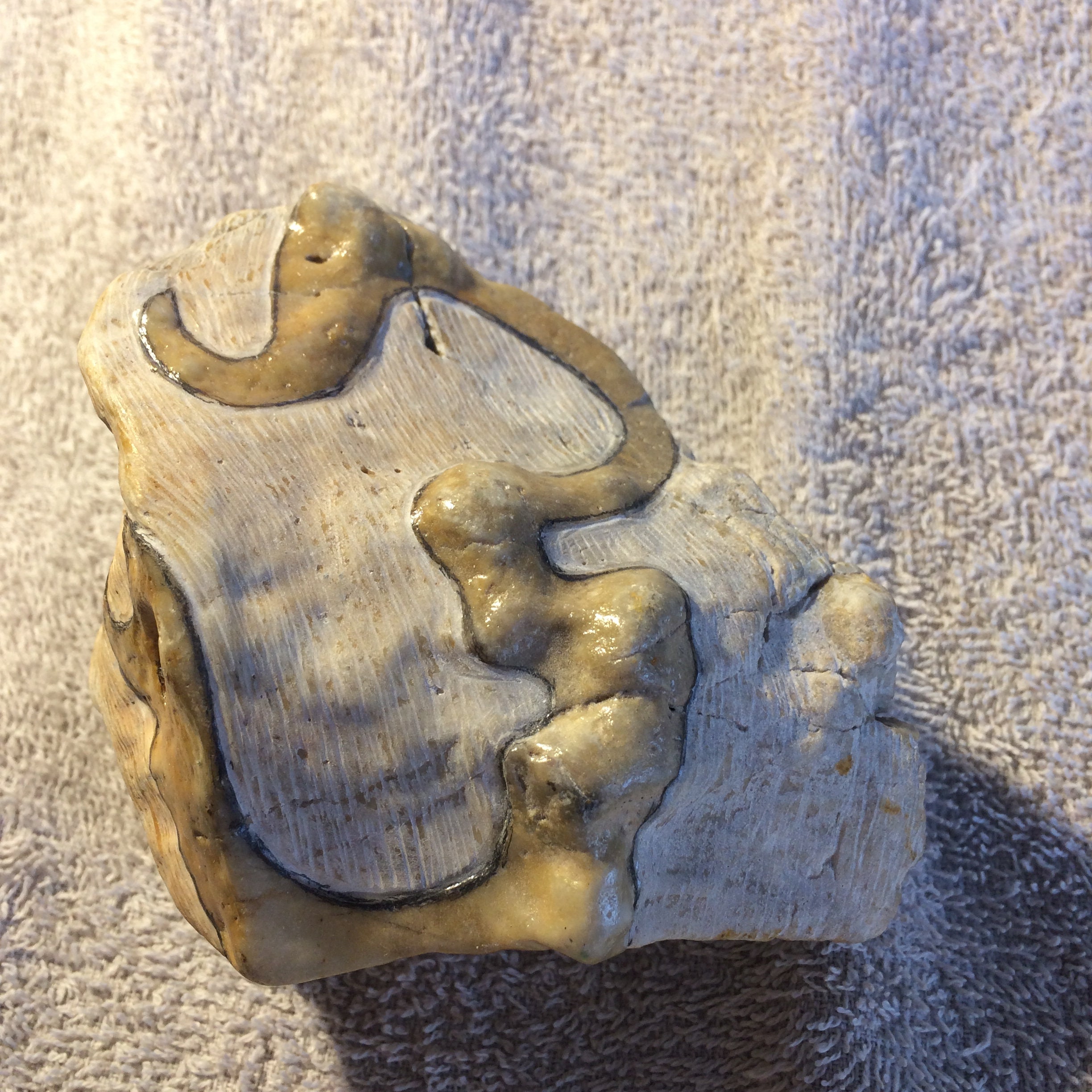 Petroglyph: the Mystic Snake Avanyu Based Upon Motives From - Etsy UK