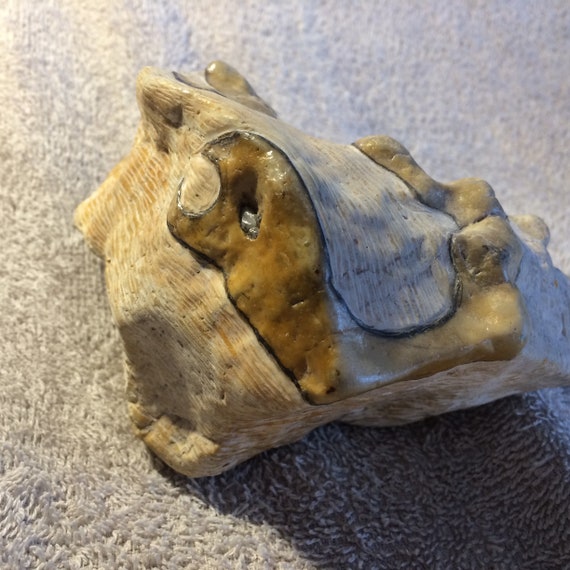 Petroglyph: the Mystic Snake Avanyu Based Upon Motives From - Etsy