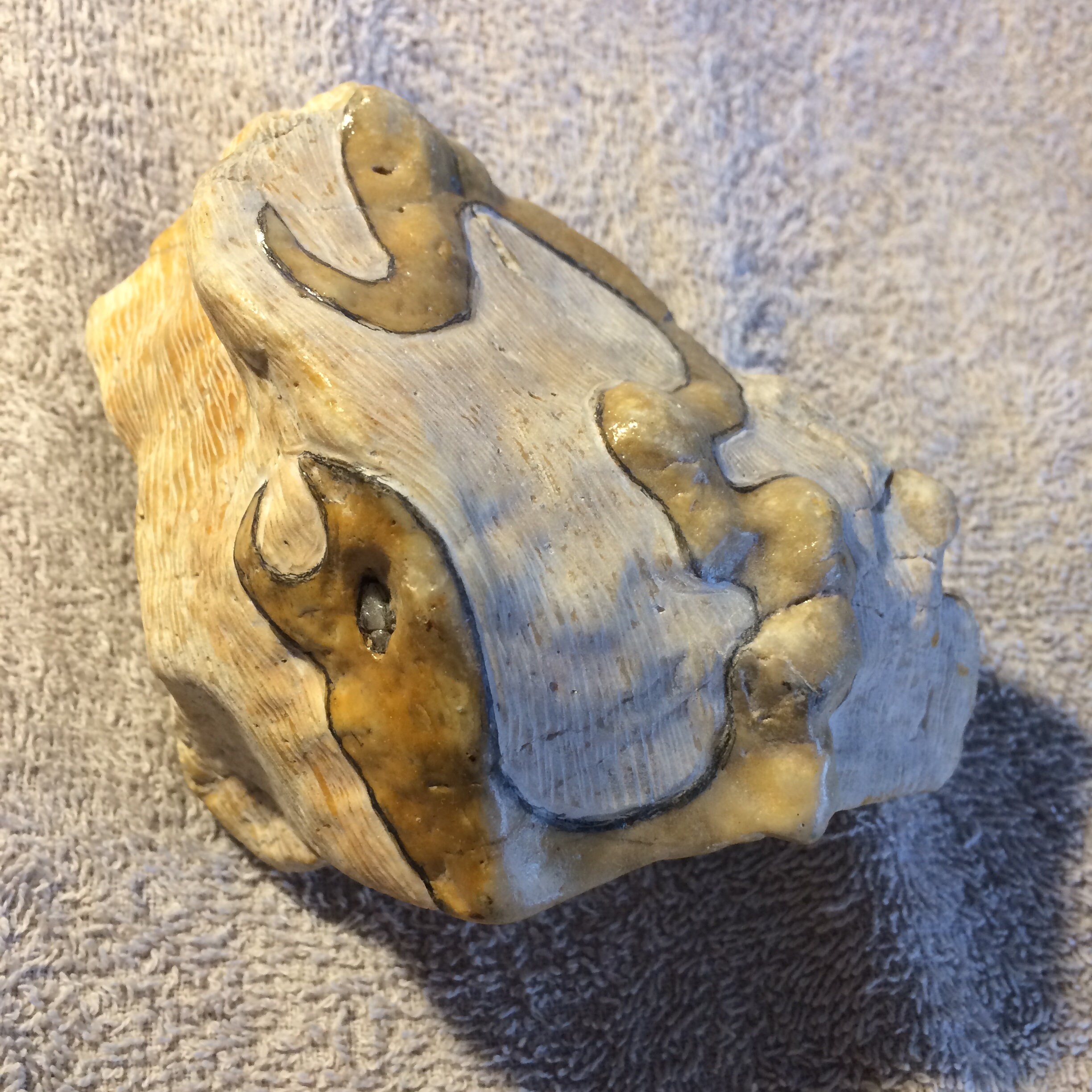 Petroglyph: THe Mystic Snake Avanyu based upon Motives from | Etsy