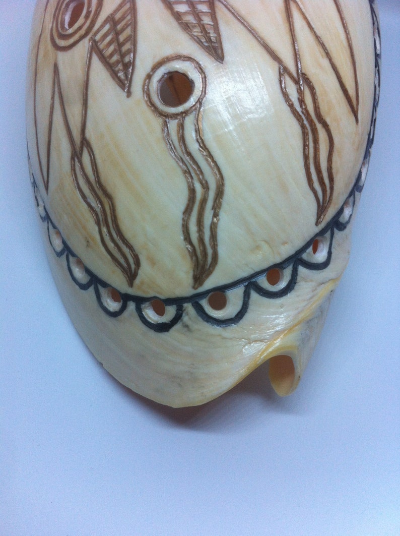 Engraved Melo Shell: Replica of a Shaman's Head With the Weeping Eyes ...