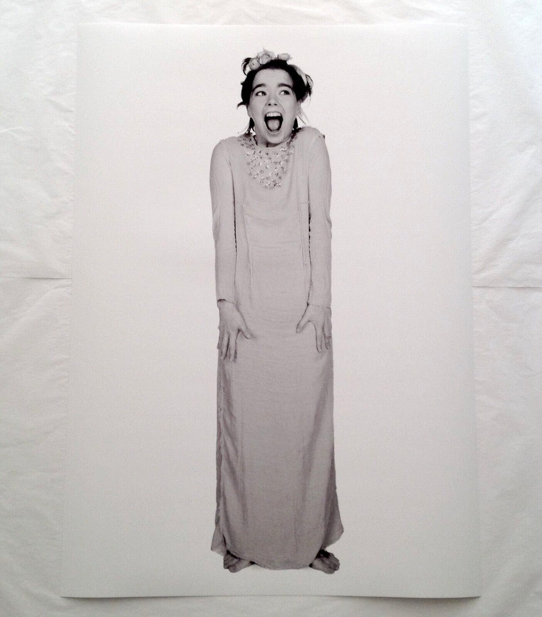 Bjork | Fine Art Print | Bjork Fossora | Wall Art for Your Home or ...