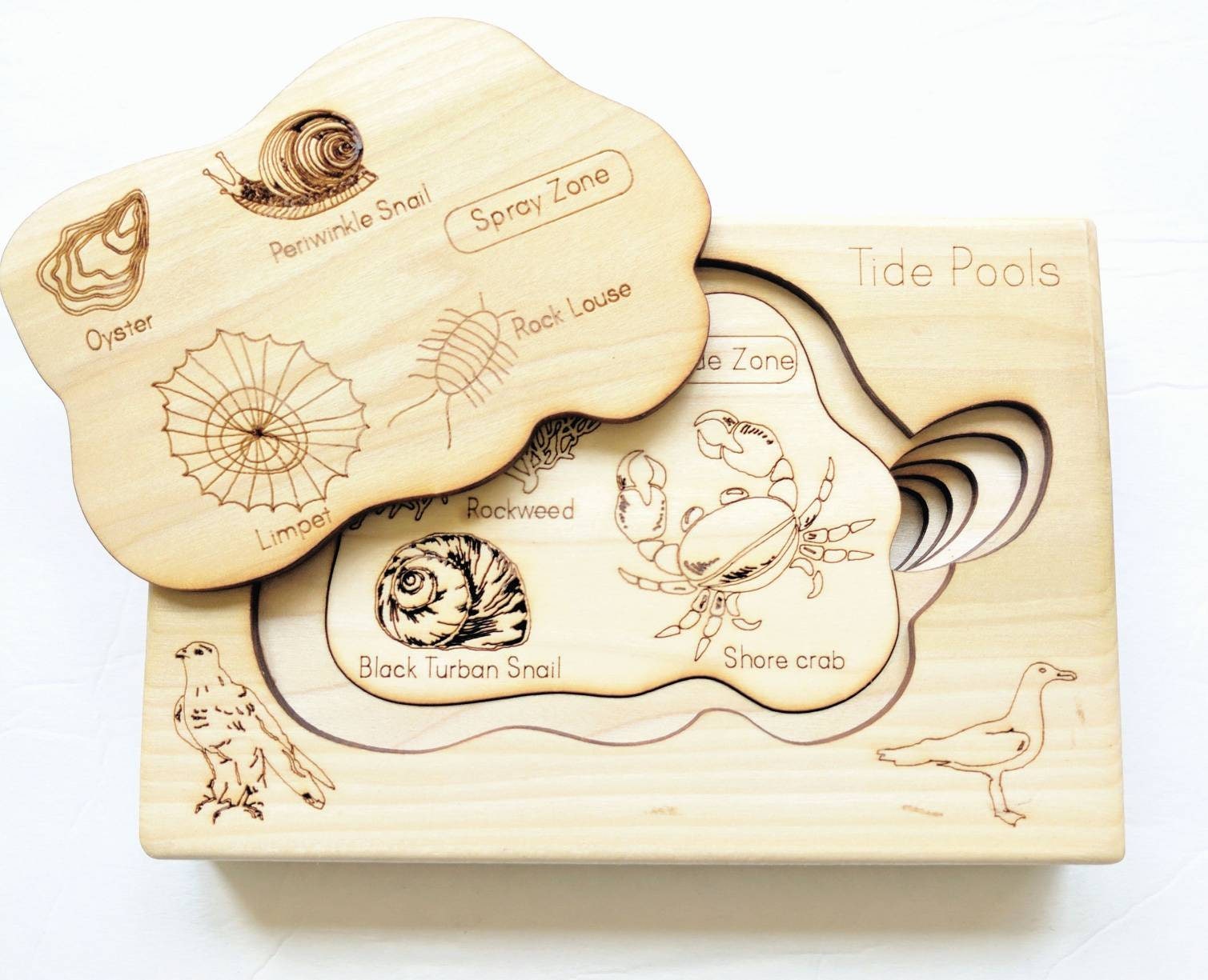 Tidepool Layered Puzzle Ocean Wooden Puzzle Montessori - Etsy