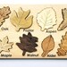 Leaf Puzzle, Montessori Puzzle, Christmas Gift, Wooden Puzzle, Stem Toy ...