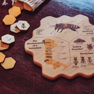 Honey Bee Puzzle Honeycomb Bee Life Cycle Honey Bee Learning Kit Types ...