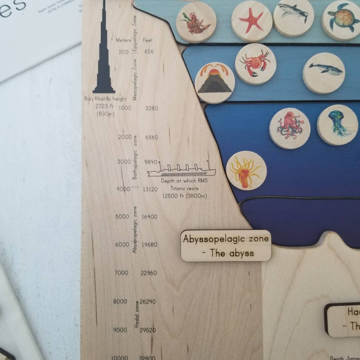 Layers of the Ocean Puzzle Ocean Zones Wooden Puzzle - Etsy Canada