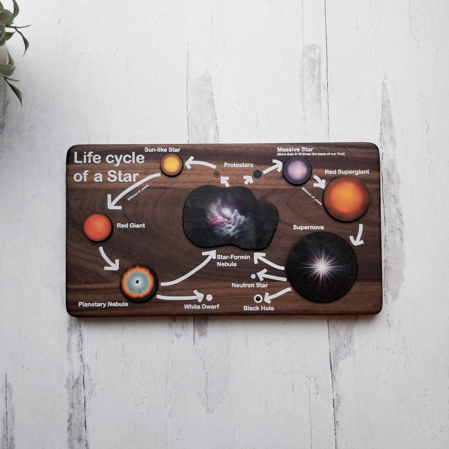 Life Cycle of a Star - Etsy