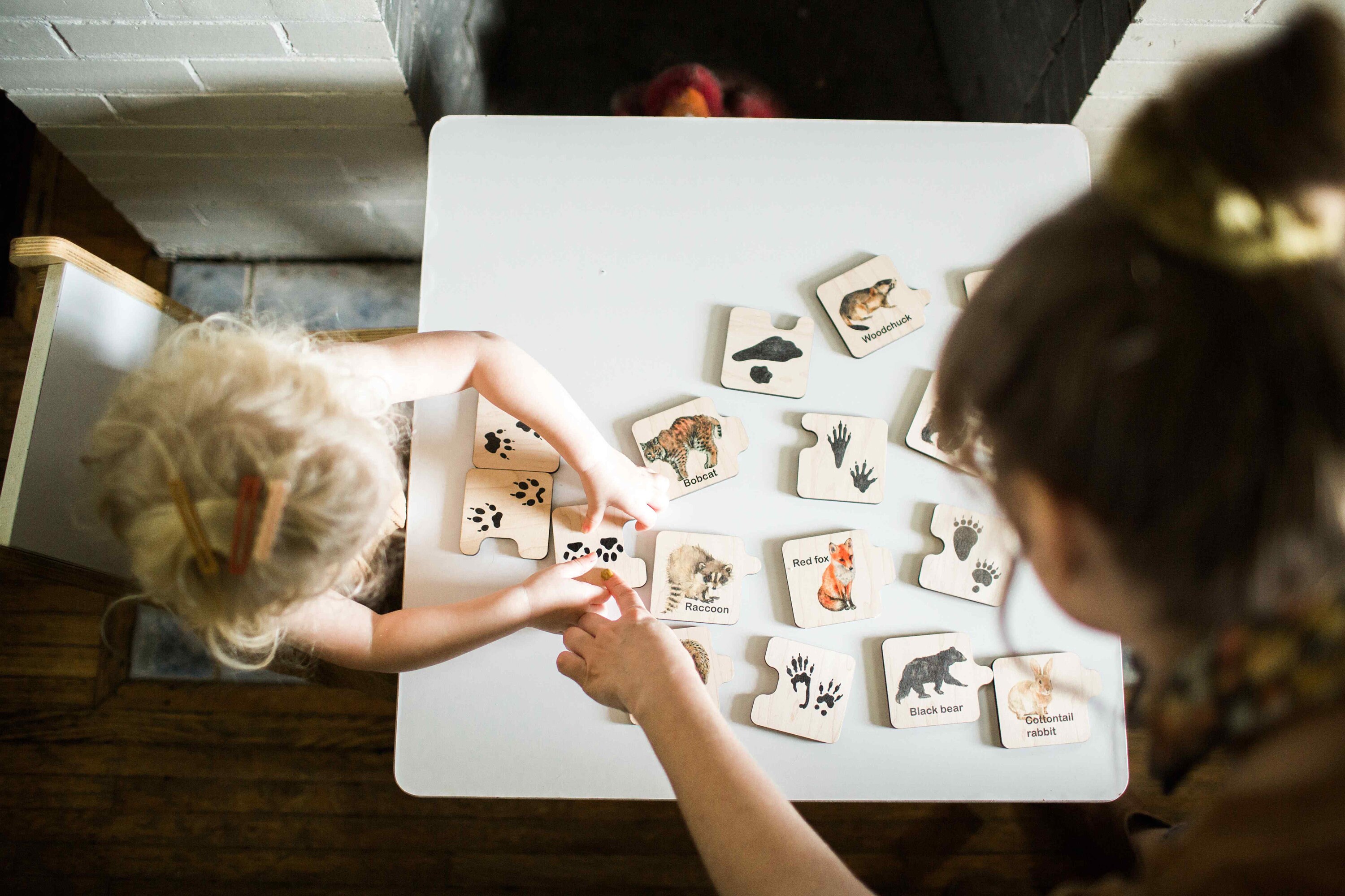 Animal Tracks Puzzle Wooden Puzzle Montessori Waldorf - Etsy