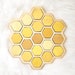 Honey Bee Puzzle Honeycomb Bee Life Cycle Honey Bee Learning Kit Types ...