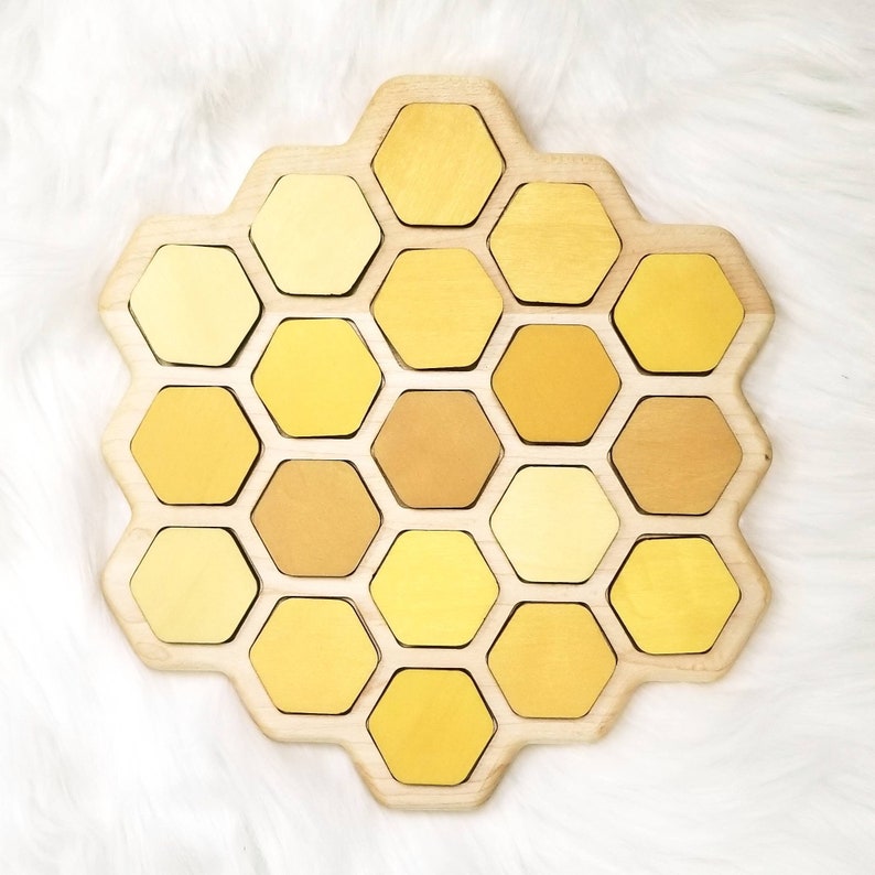 Honey Bee Puzzle Honeycomb Bee Life Cycle Honey Bee - Etsy