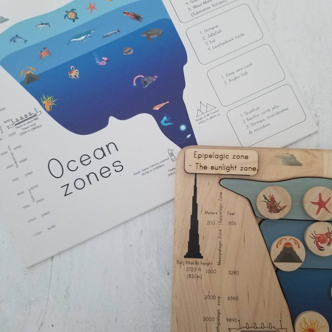 Layers of the Ocean Puzzle Ocean Zones Wooden Puzzle - Etsy