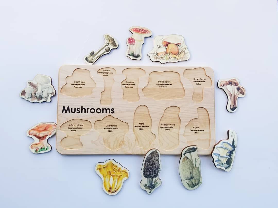 Mushroom Wooden Puzzle Montessori Wooden Puzzle Gift for | Etsy
