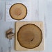 Parts of a Tree Trunk Puzzle Layers of Tree Trunk Tree Ring - Etsy