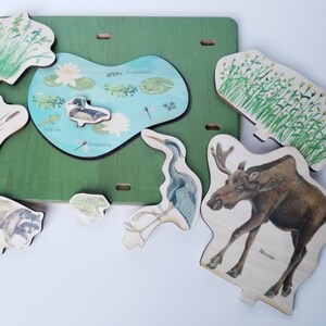 Pond Study Pond Ecosystem Layers of a Pond Life Cycle of a Frog Pond ...