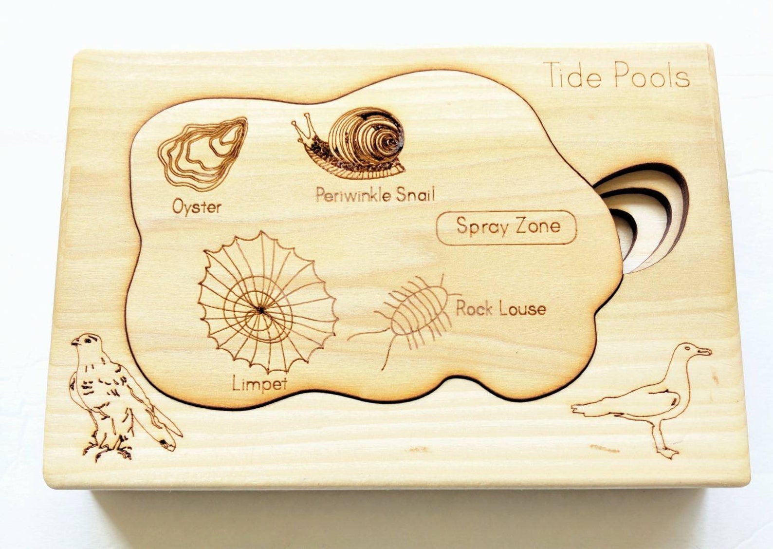 Tidepool Layered Puzzle Ocean Wooden Puzzle Montessori | Etsy UK