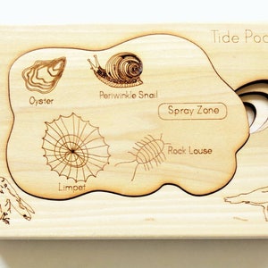 Tidepool Layered Puzzle, Ocean Wooden Puzzle, Montessori Wooden Puzzle ...