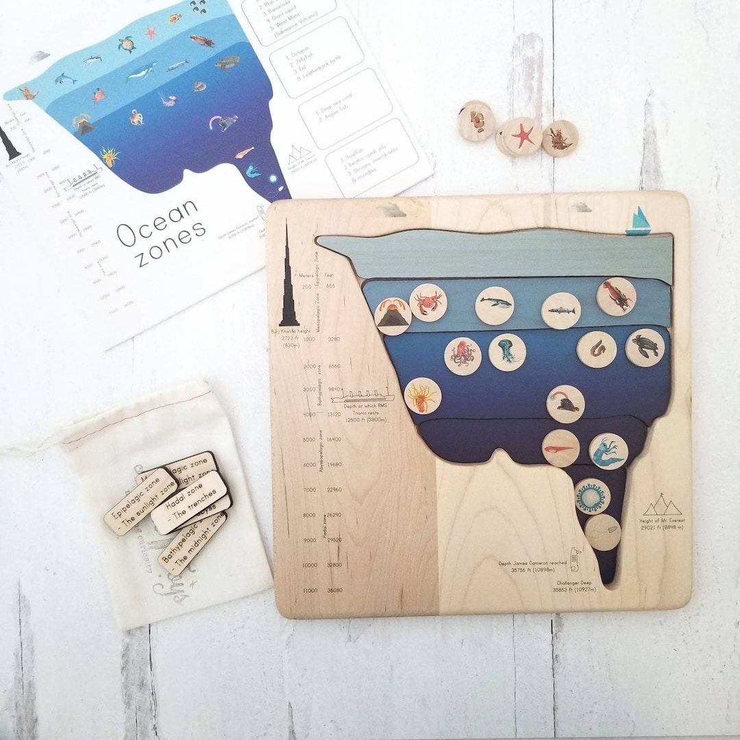 Layers of the Ocean Puzzle Ocean Zones Wooden Puzzle Montessori - Etsy
