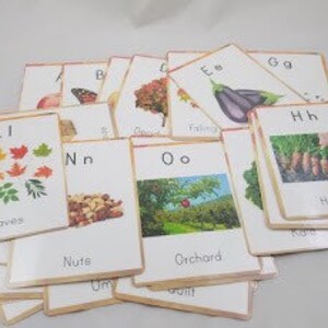 Autumn Inspired Vocabulary Cards Fall Alphabet Cards - Etsy