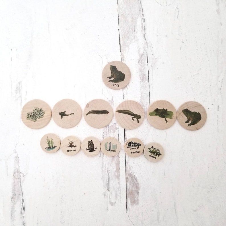 Coins for Life Cycle Board - Etsy