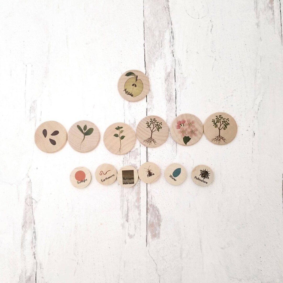 Coins for Life Cycle Board - Etsy