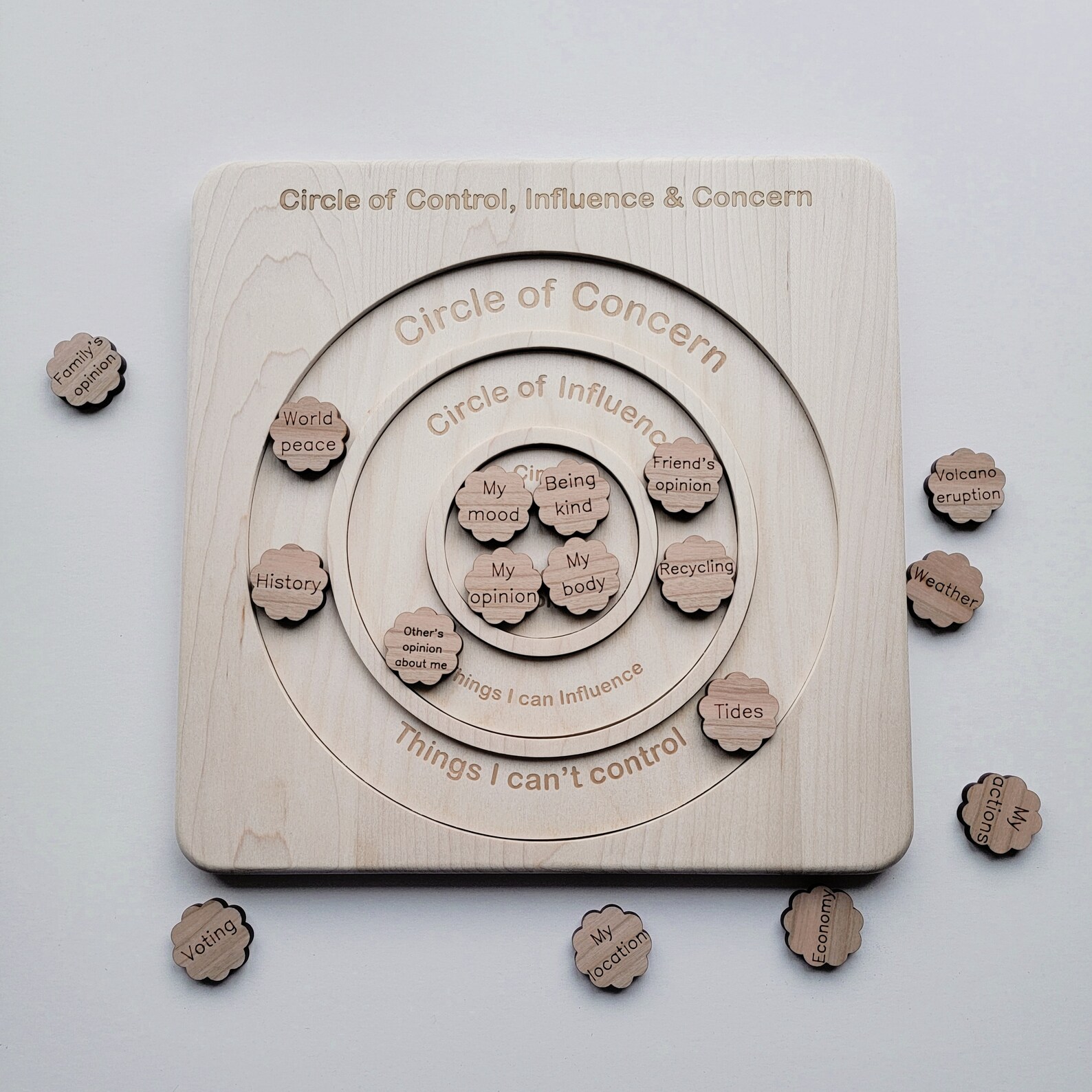 Circle of Control Growth Mindset Circle of Concern - Etsy