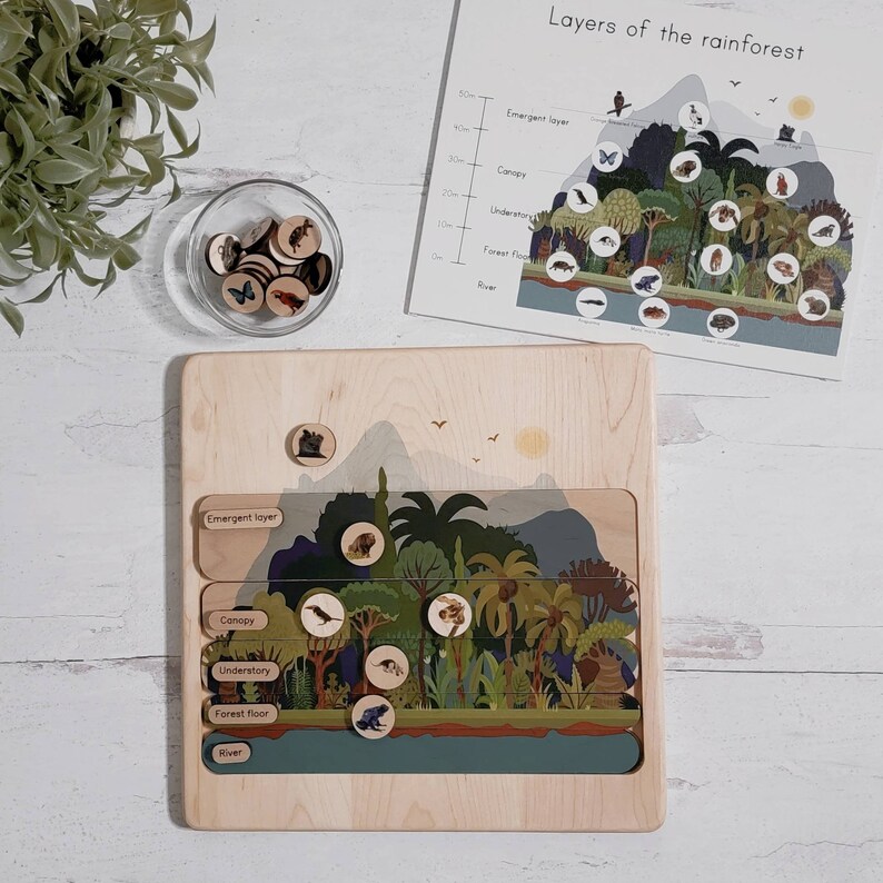 Layers of a Rainforest Wooden Puzzle Amazon Rainforest - Etsy