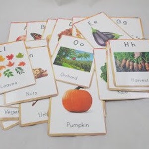 Autumn Inspired Vocabulary Cards Fall Alphabet Cards - Etsy