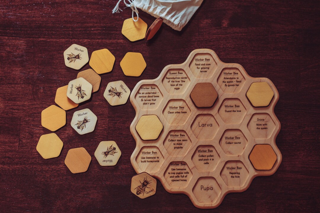 Honey Bee Puzzle - Honeycomb - Bee Life Cycle - Honey Bee Learning Kit ...