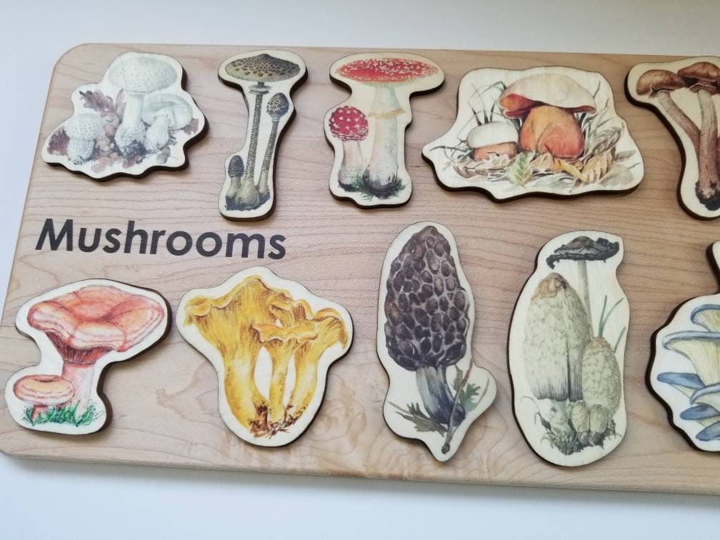 Mushroom Wooden Puzzle Montessori Wooden Puzzle Gift for | Etsy