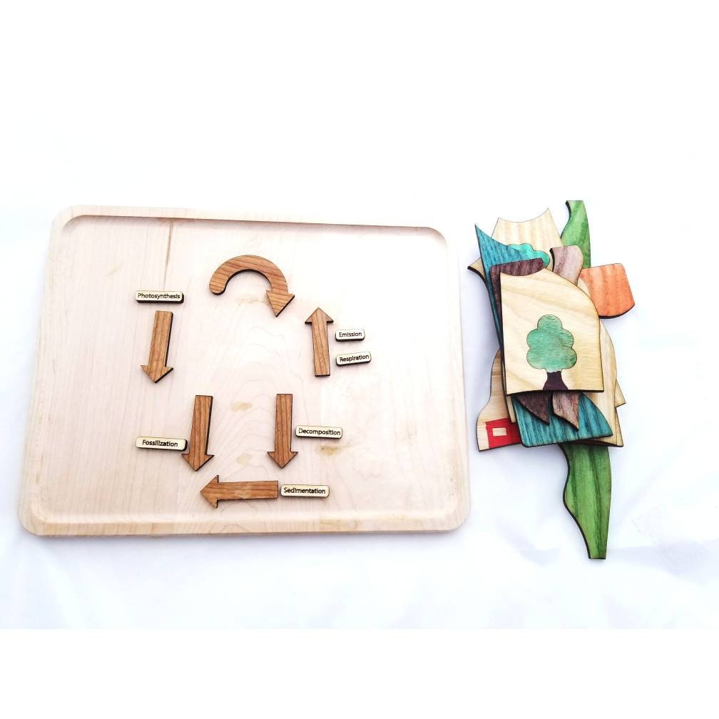 Carbon Cycle Puzzle Earth Day Wooden Puzzle - Etsy