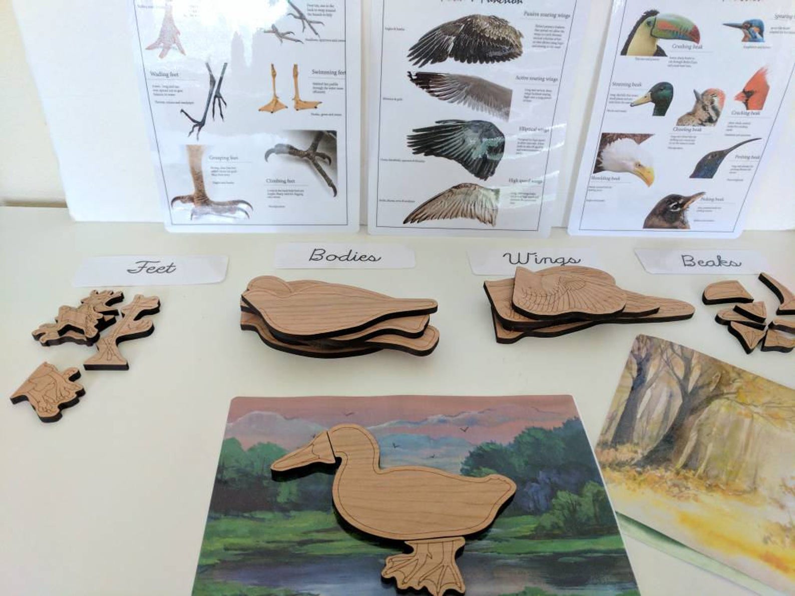 Bird Lover Gift Build a Bird Wooden Puzzle Montessori Toys | Etsy