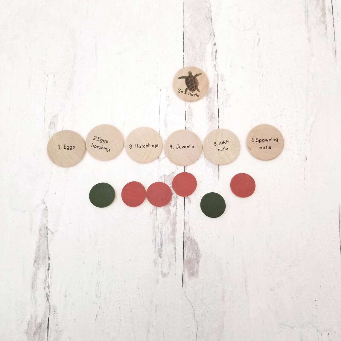 Coins for Life Cycle Board - Etsy